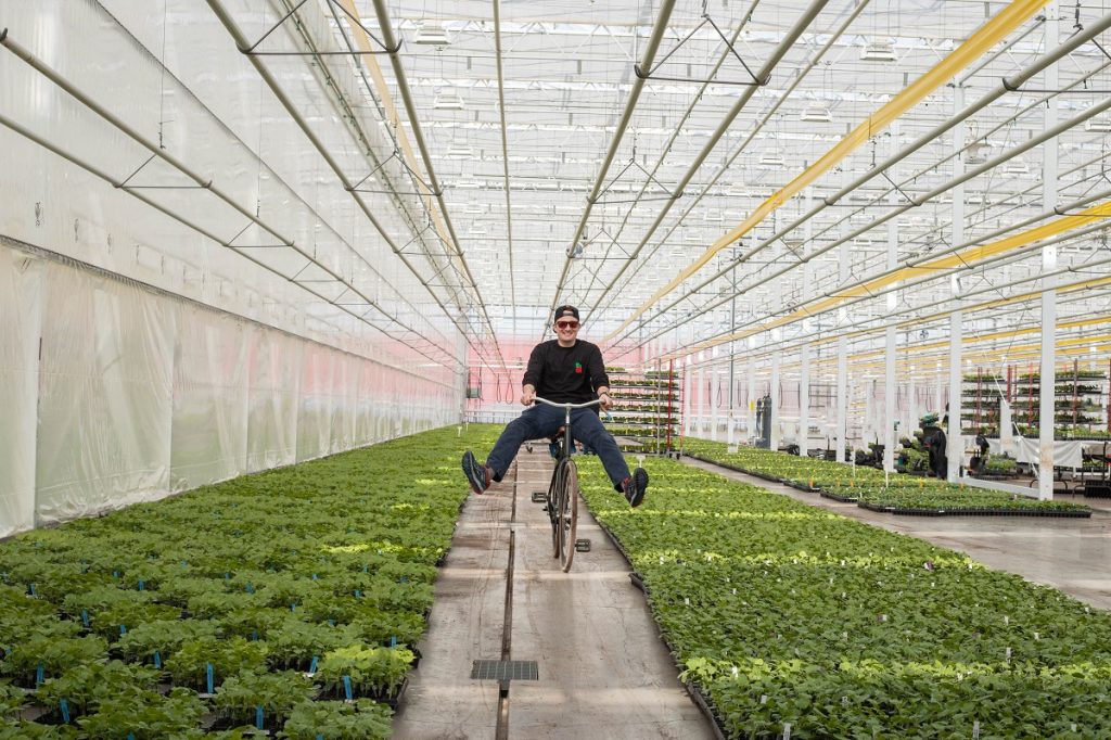 Careers | Roelands Plant Farms Inc.